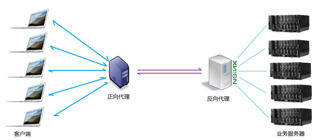终于有人把 Nginx 说清楚了,图文详解! Java技术栈 Java Spring Boot Spring Cloud 分享最新最主流的java技术